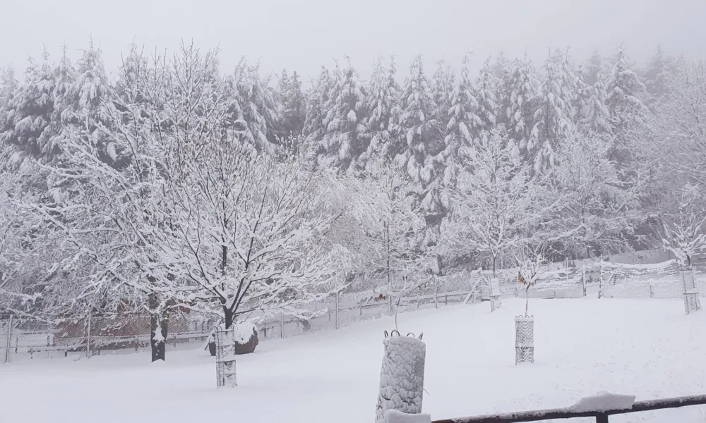Um manto branco de neve cobre o NORTE e por todo o território há ...